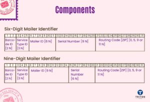 A Complete Guide to Intelligent Mail Barcodes